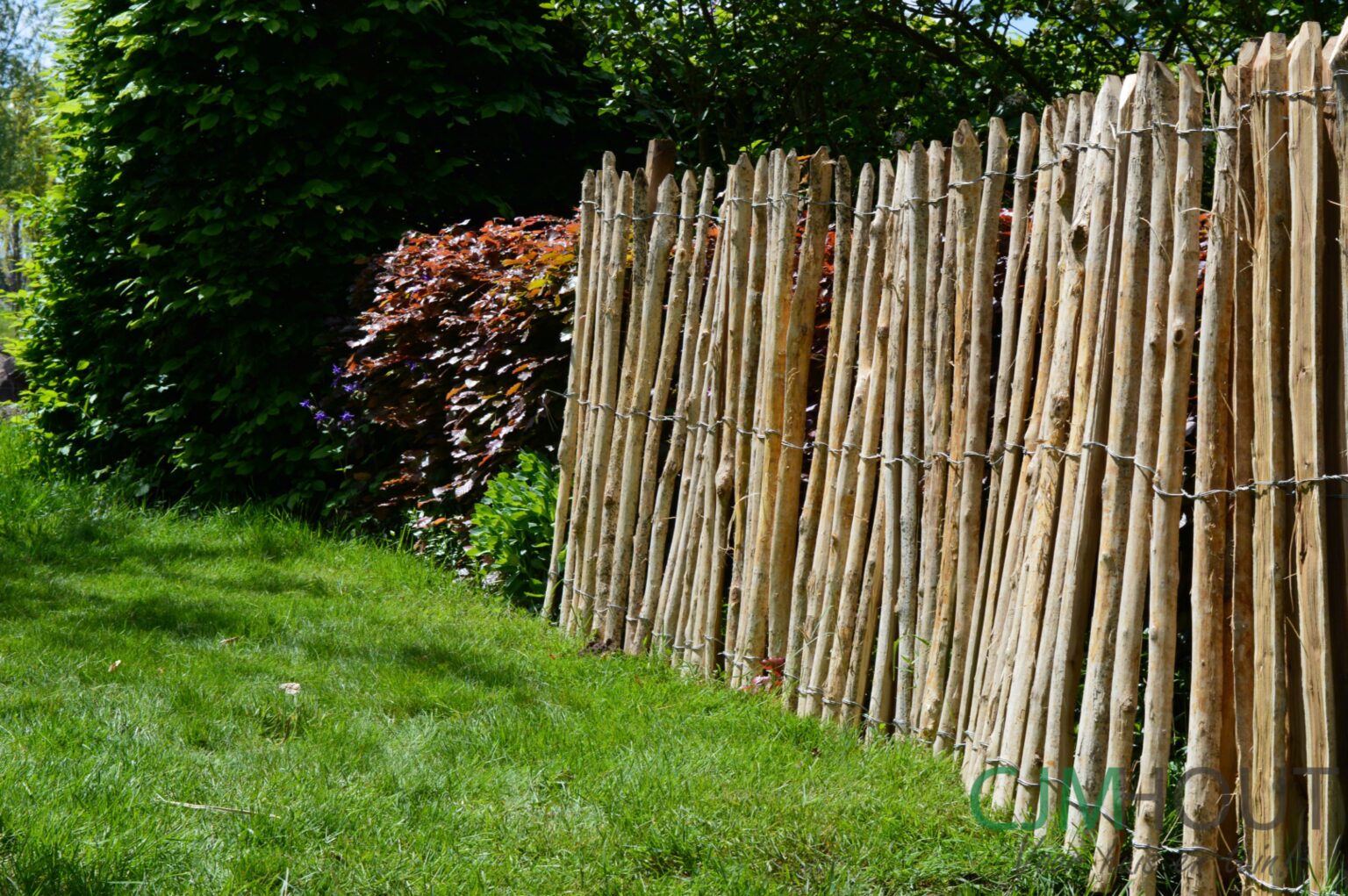 Robinia hout: duurzaam hardhout met oneindige mogelijkheden - CJM Hout
